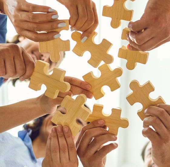 Merger of Data Syscom with MPI Tech